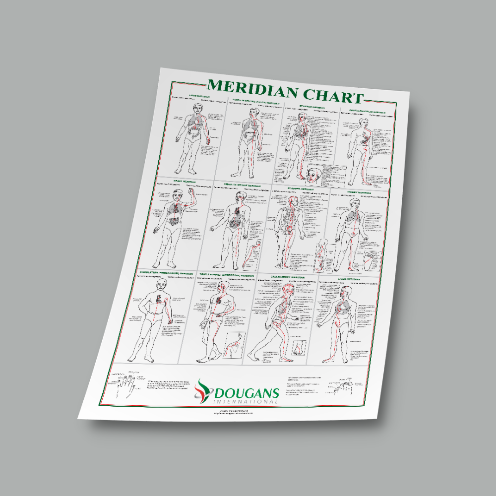 Meridian Chart by Dougans International - Reflexology Store