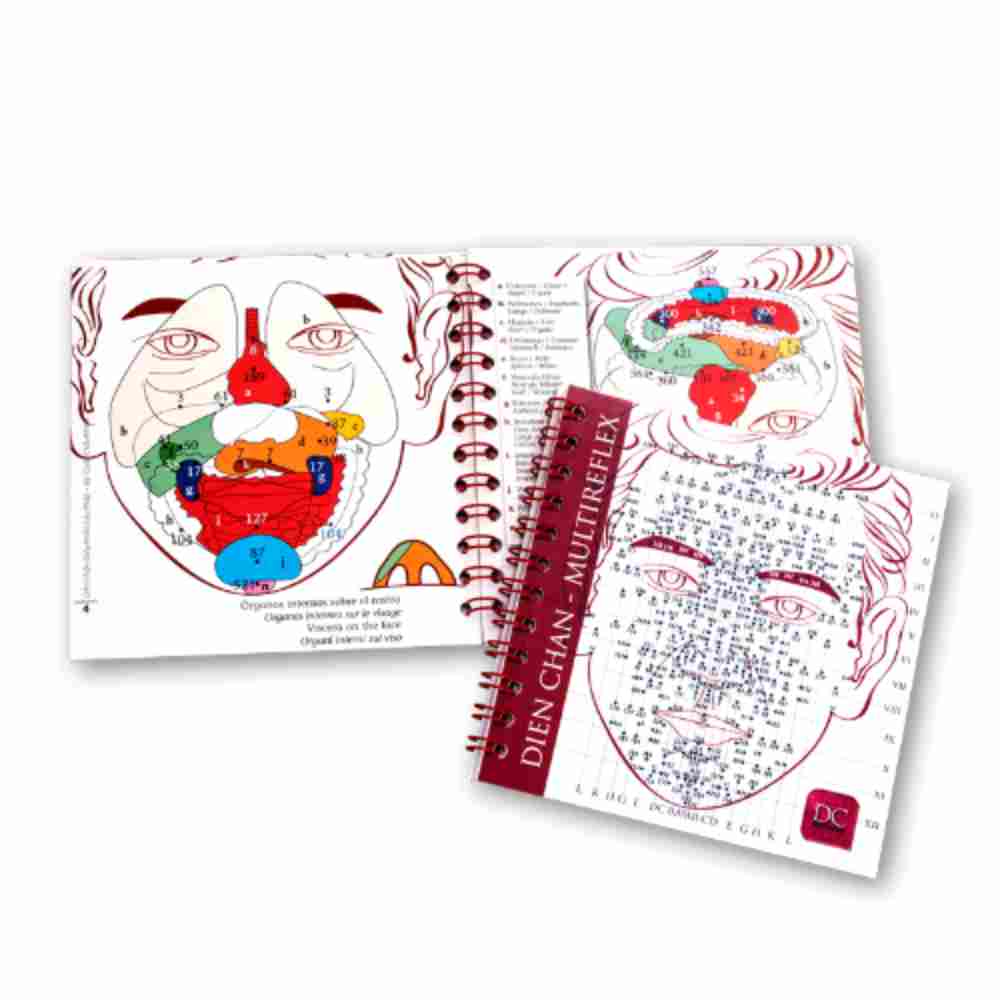 Dien Chan MiniBook of Diagrams